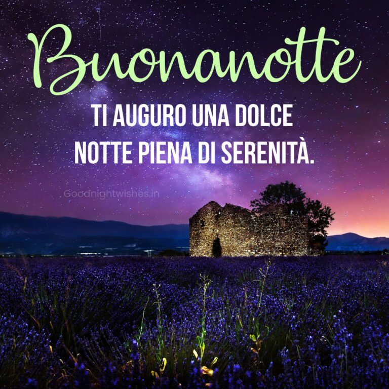 40+ Nighttime Bliss: Delightful Good Night Italian Images & Wishes for ...