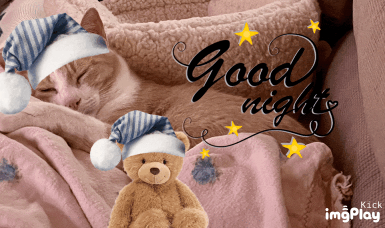 45+ Sweet Slumber Awaits with Our Delightful Good Night Teddy GIFs ...