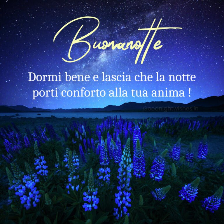 40+ Nighttime Bliss: Delightful Good Night Italian Images & Wishes for ...