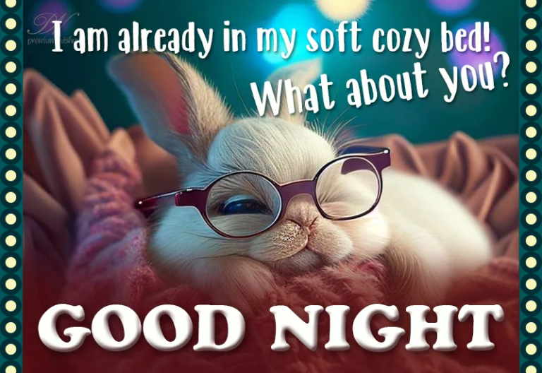 70+ Cute & Funny Good Night Images, Memes, Jokes, and Messages for the ...