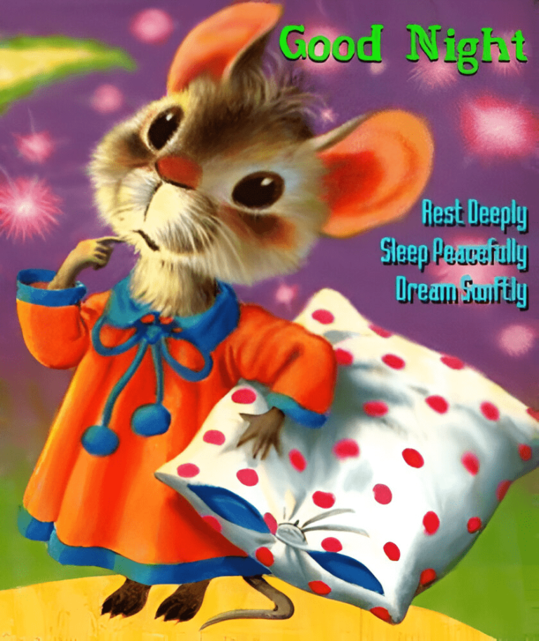 70+ Cute & Funny Good Night Images, Memes, Jokes, and Messages for the ...