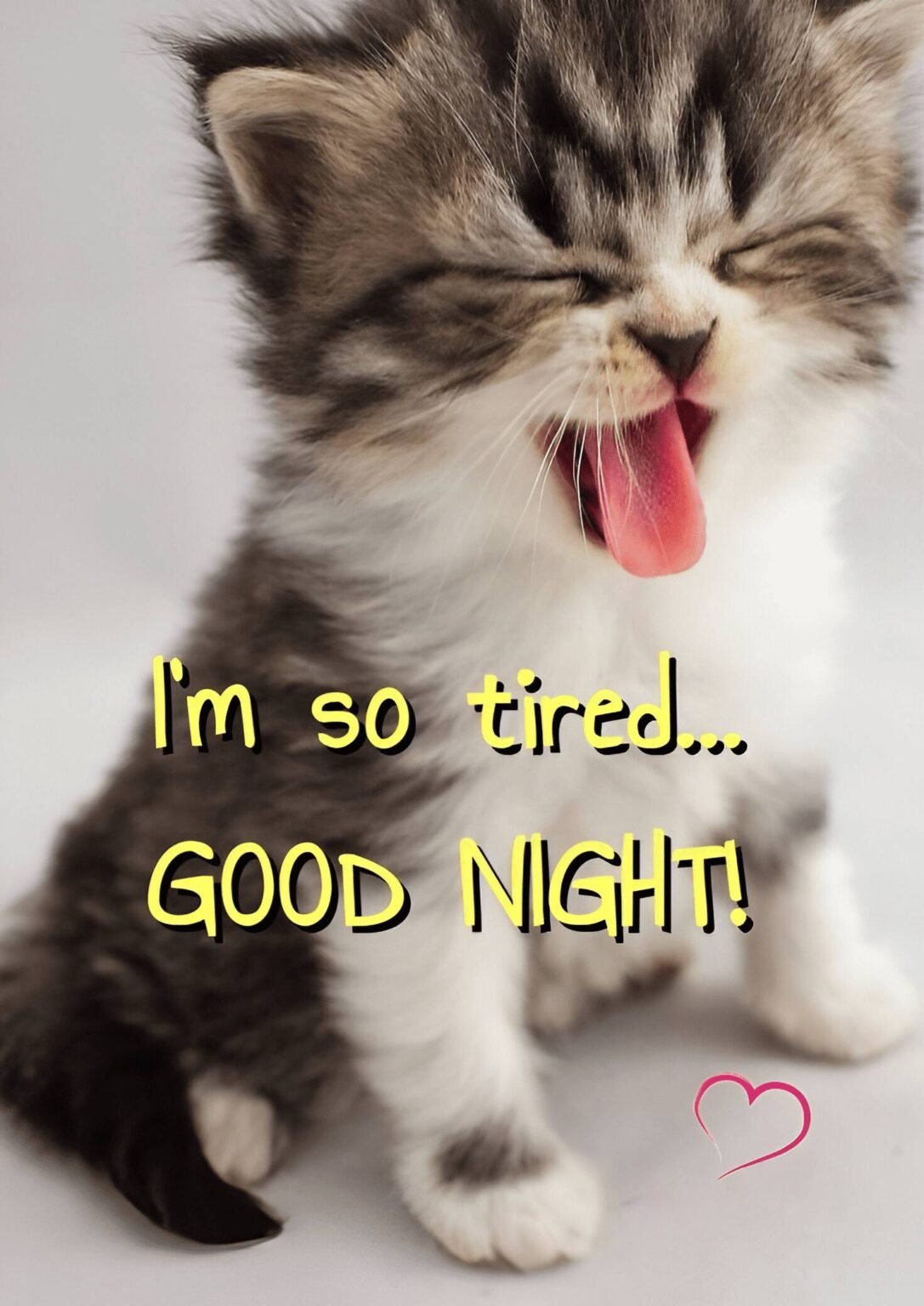 70+ Cute & Funny Good Night Images, Memes, Jokes, and Messages for the ...