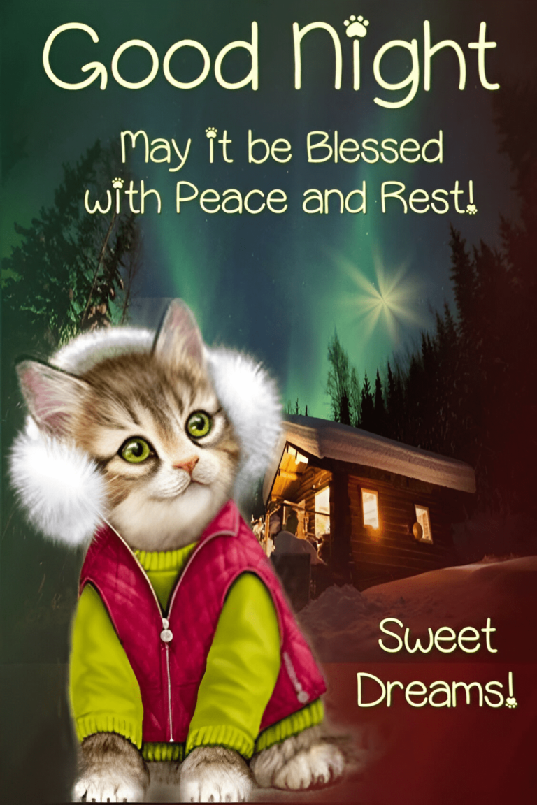 70+ Cute & Funny Good Night Images, Memes, Jokes, and Messages for the ...