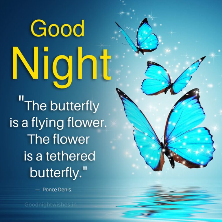 65+ Exclusive Collection of Good Night Butterfly Images & Inspiring ...