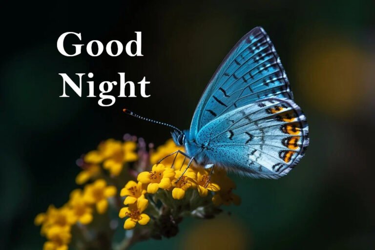 65+ Exclusive Collection of Good Night Butterfly Images & Inspiring ...