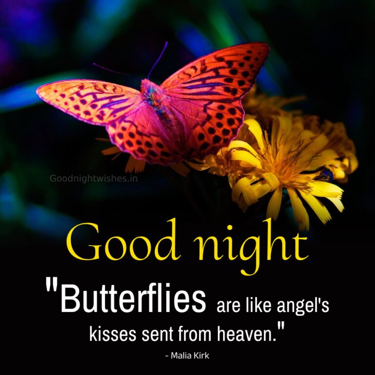 65+ Exclusive Collection of Good Night Butterfly Images & Inspiring ...