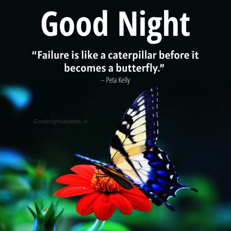 65+ Exclusive Collection of Good Night Butterfly Images & Inspiring ...