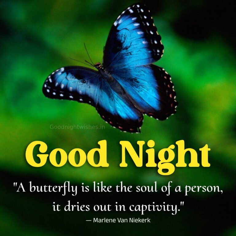 65+ Exclusive Collection of Good Night Butterfly Images & Inspiring ...