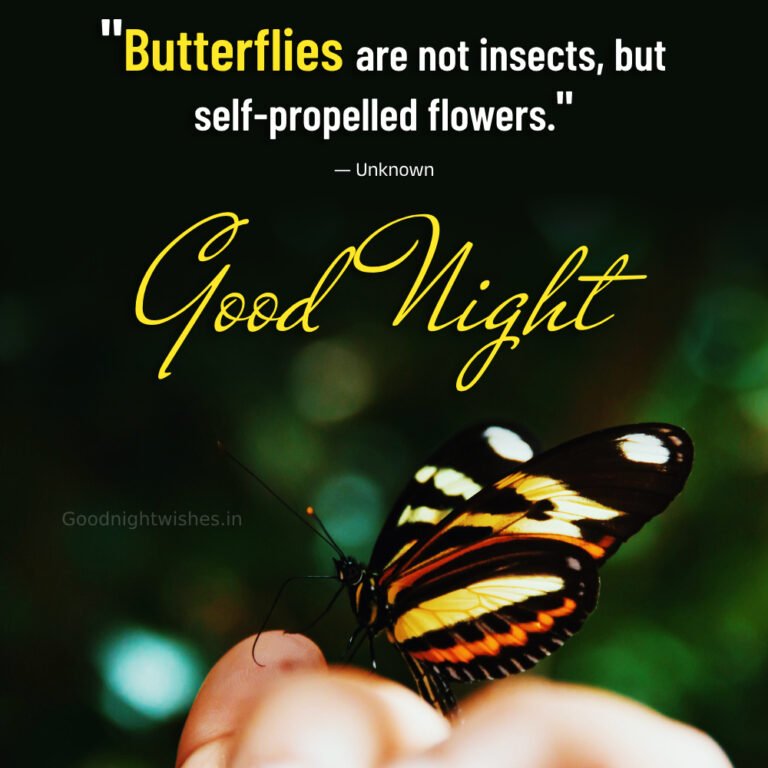 65+ Exclusive Collection of Good Night Butterfly Images & Inspiring ...