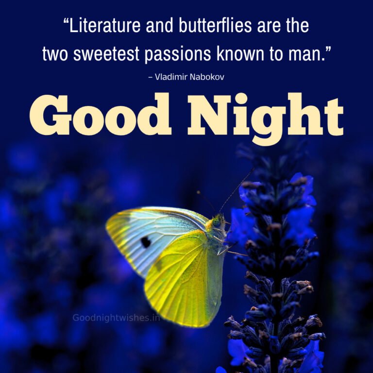 65+ Exclusive Collection of Good Night Butterfly Images & Inspiring ...