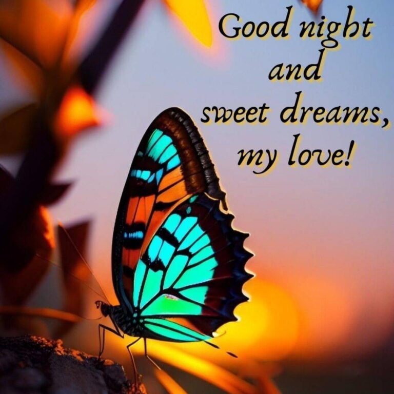 65+ Exclusive Collection of Good Night Butterfly Images & Inspiring ...
